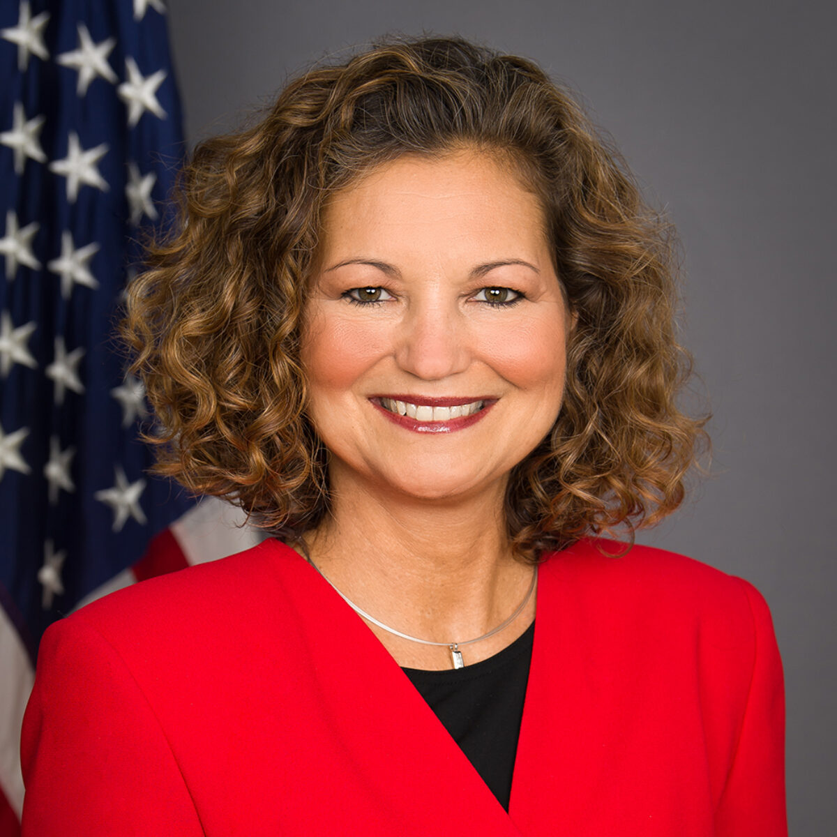 Bold New Consensus - Economic Security Project